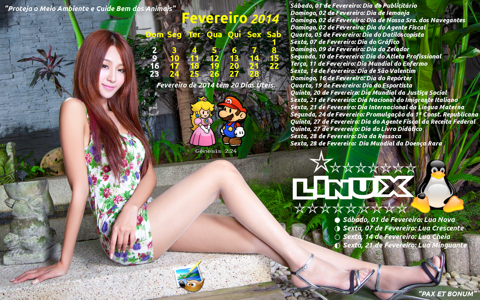 superlinuxmg-br: janeiro 2014